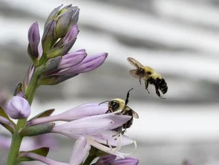 Exhibit features photos by 2022 Shoot-Out winner Kimberly Hargis ...