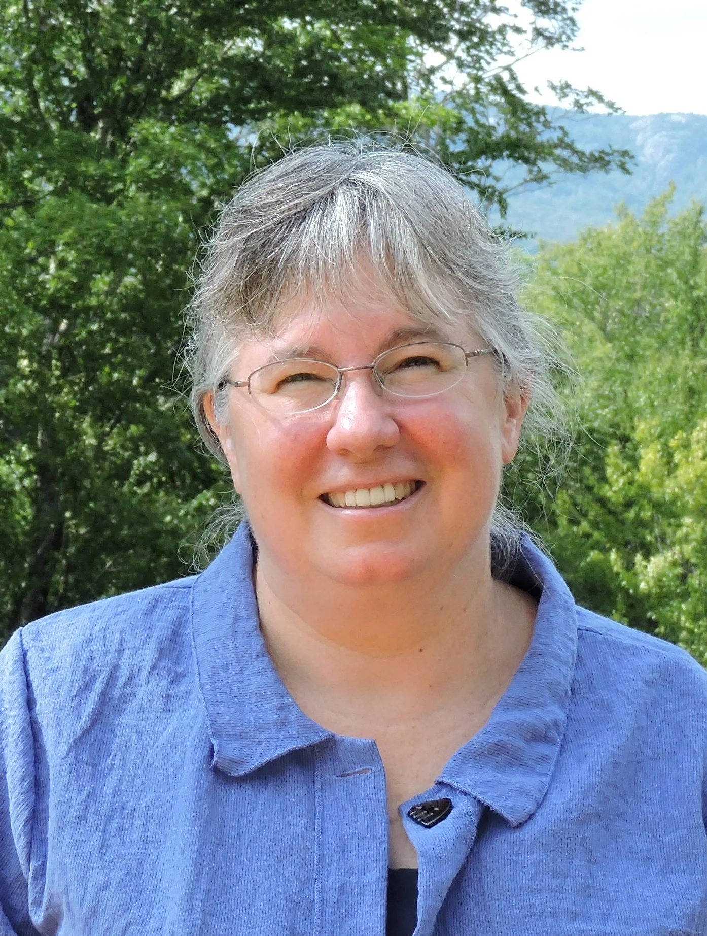 Candidates vie for seats on Duxbury Selectboard — Waterbury Roundabout