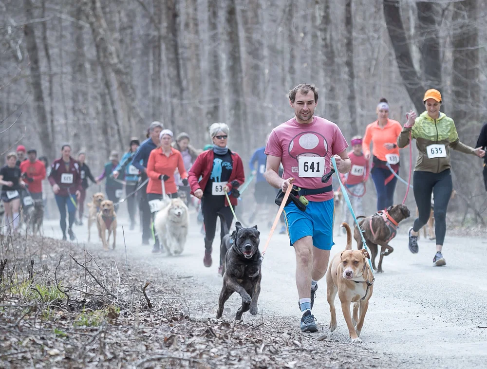People, dogs can sign up now for 25th Annual Mutt Strut on April 23 ...