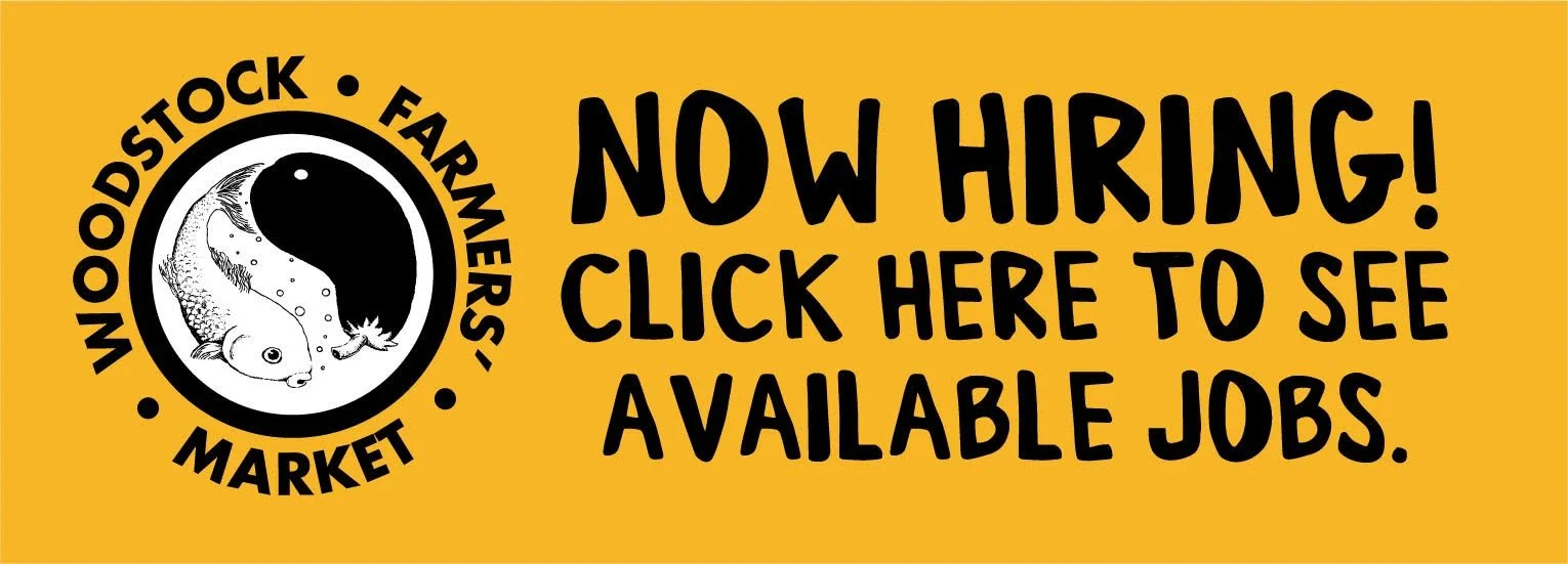 Local Jobs — Waterbury Roundabout