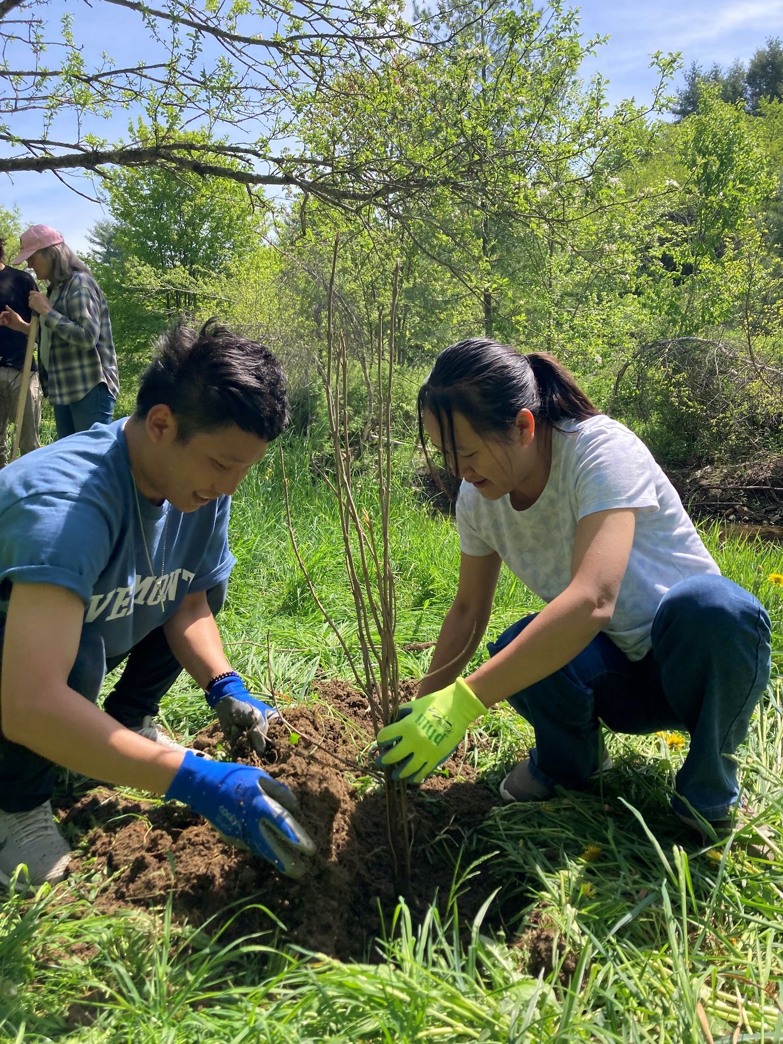 Tree planting aims to combat Thatcher Book erosion at Hope Davey Park ...
