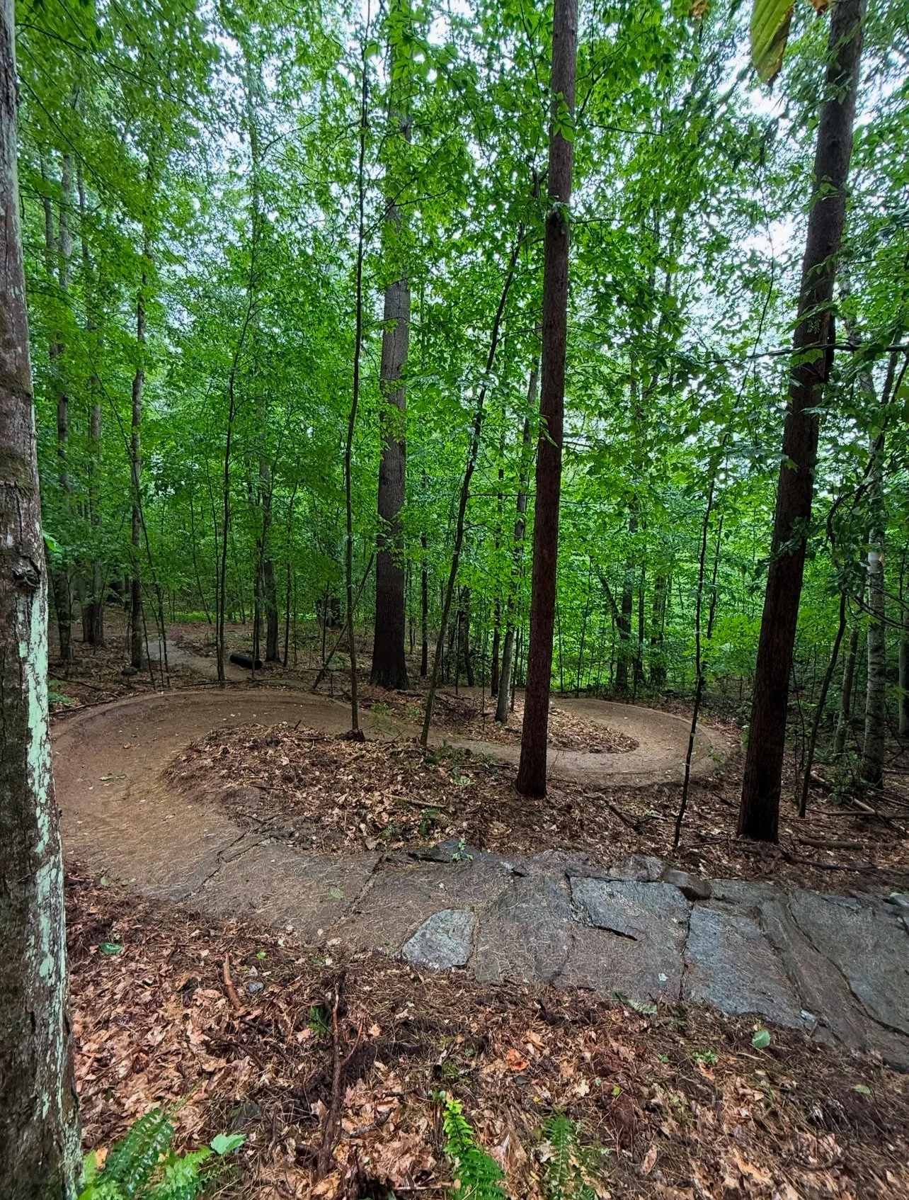 Climate resilience investment on Perry Hill trails tops $100,000 ...