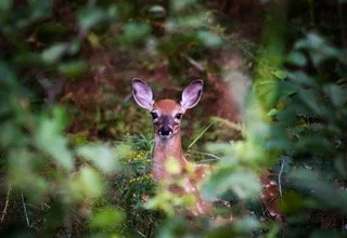 Exhibit features photos by 2022 Shoot-Out winner Kimberly Hargis ...
