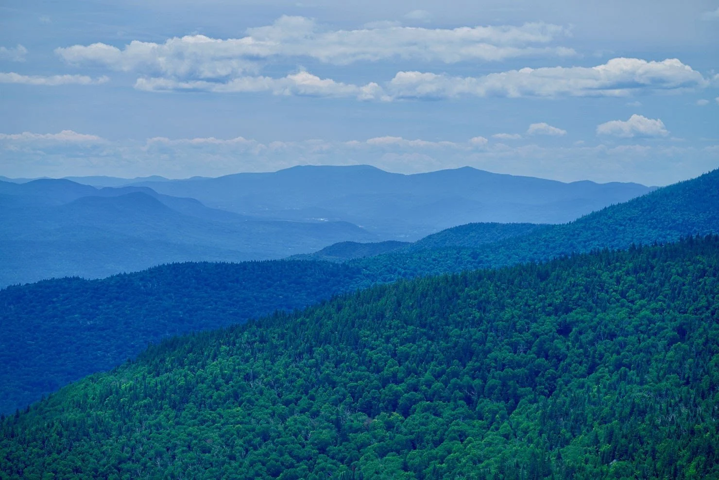 COMMENTARY: State’s new Worcester Range plan halts a century of forest ...