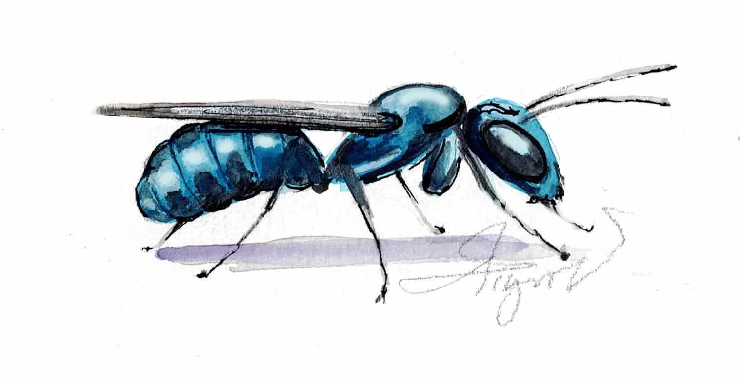 Winter bees are at home in holes, hollows — Waterbury Roundabout