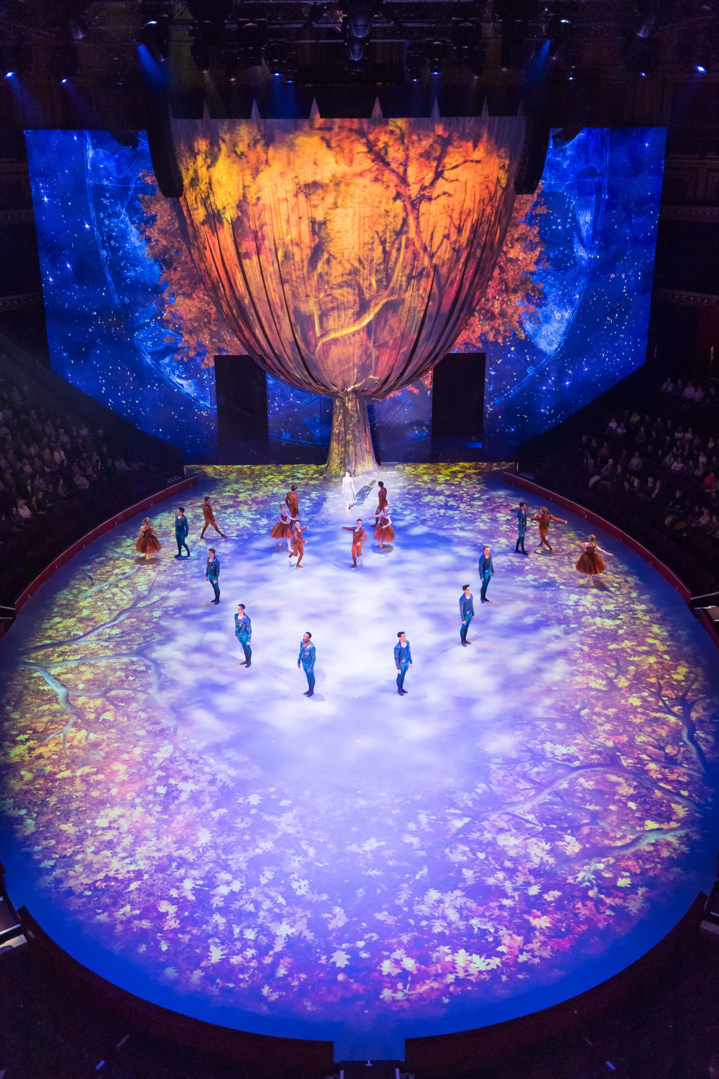 Gallery 3 — Christopher Wheeldon