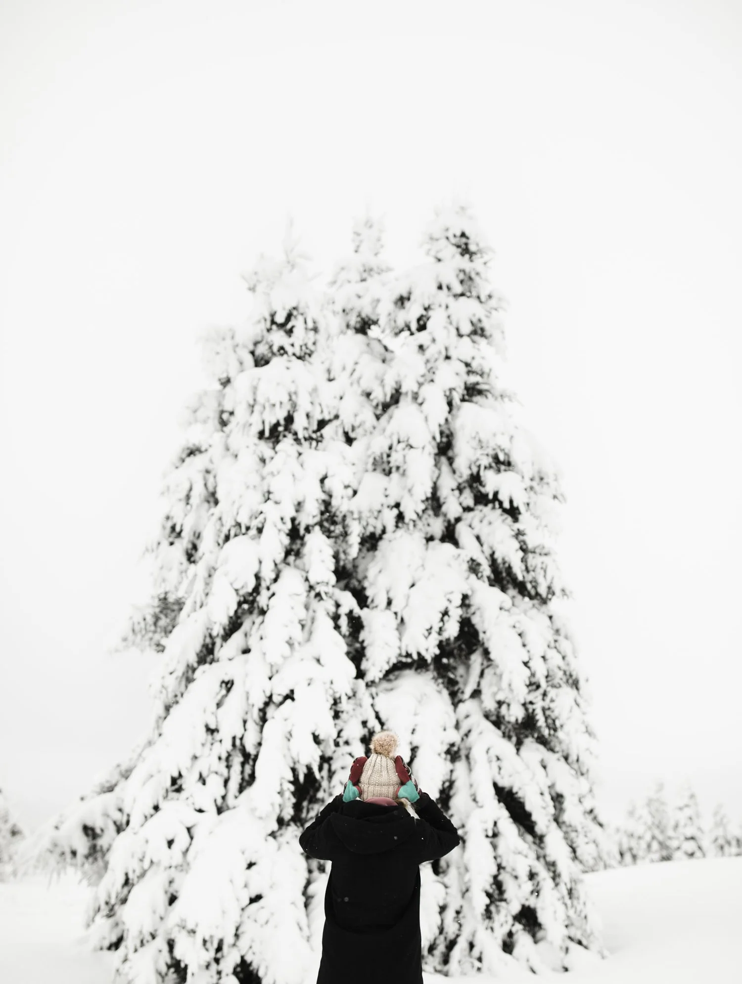 Your Travel Guide to Northern Wisconsin in the Winter — Erin Molstad