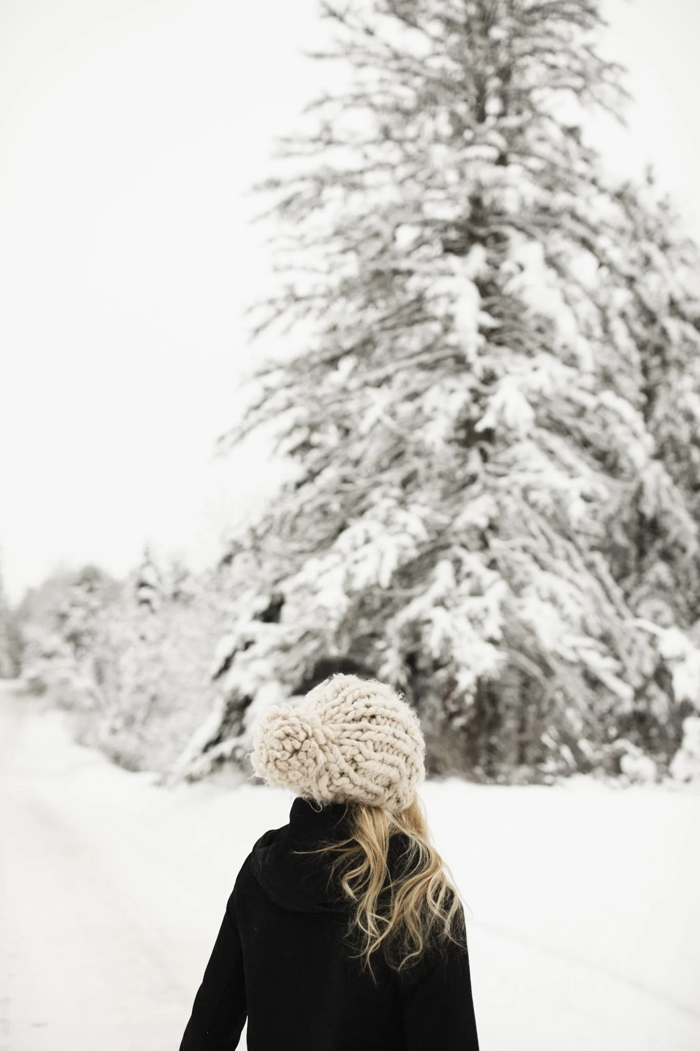 Your Travel Guide to Northern Wisconsin in the Winter — Erin Molstad