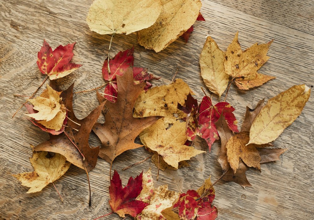 Fall Leaf Crown DIY — Erin Molstad