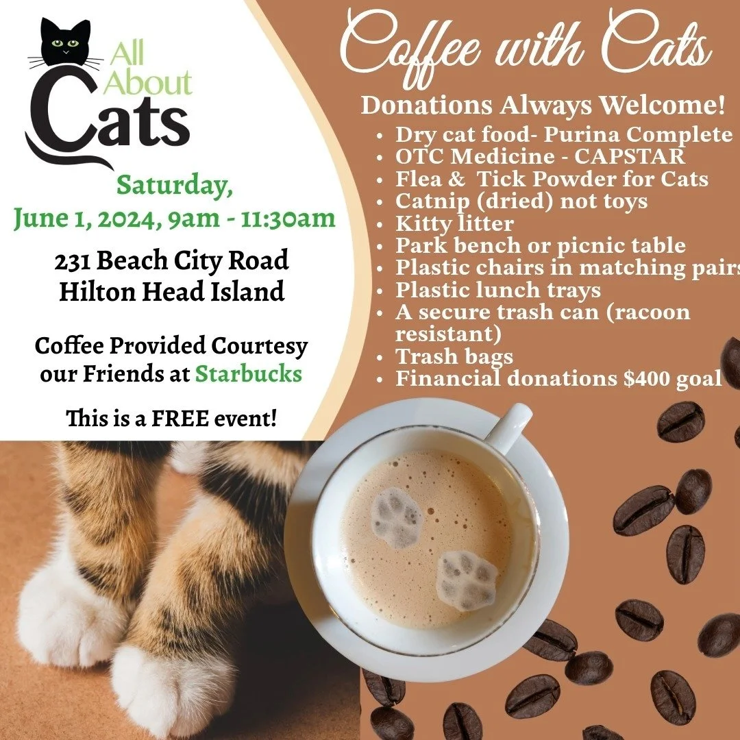 ALL ABOUT CATS - Hilton Head Island