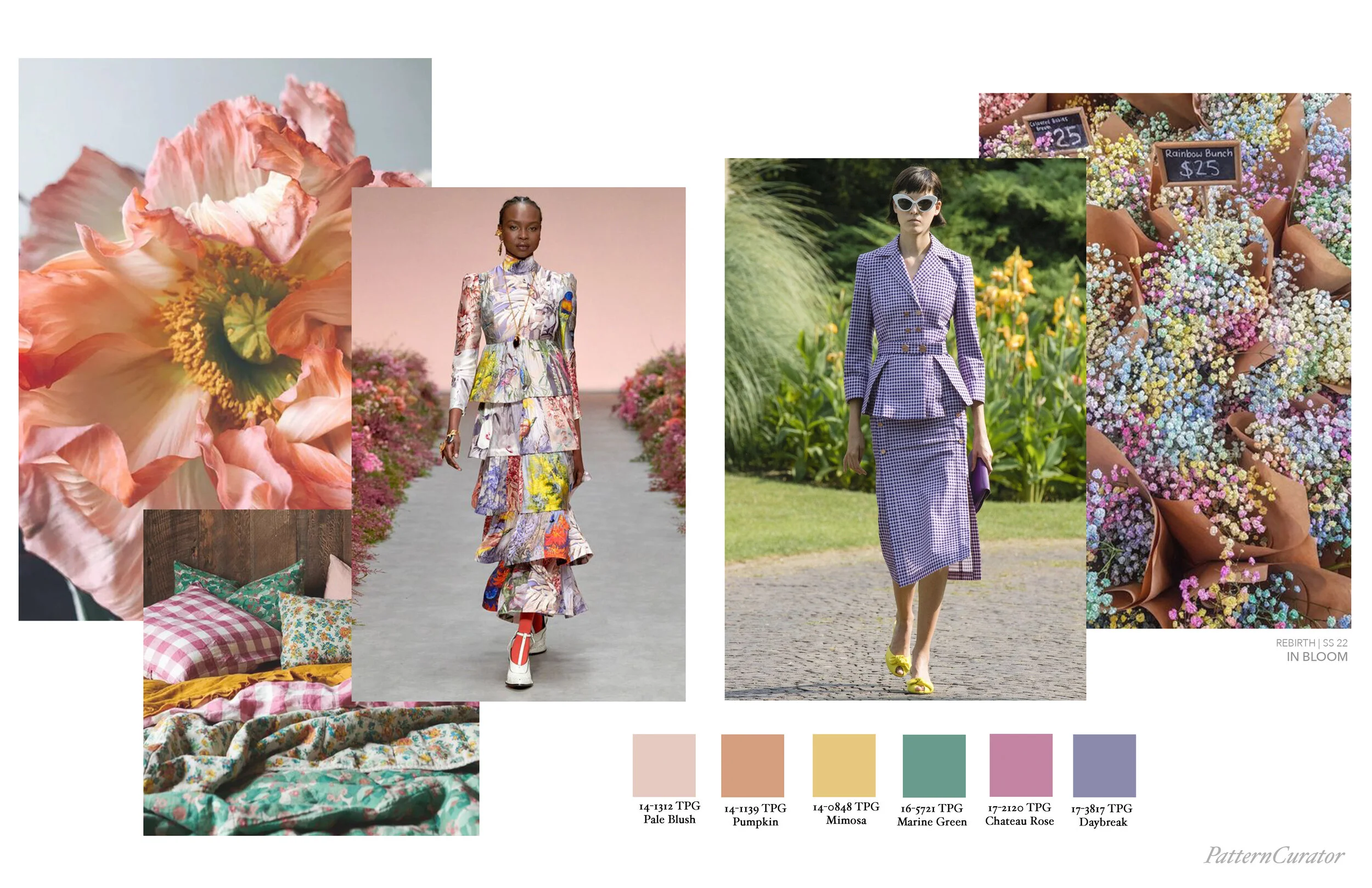 Pattern Curator Trend Service IN BLOOM