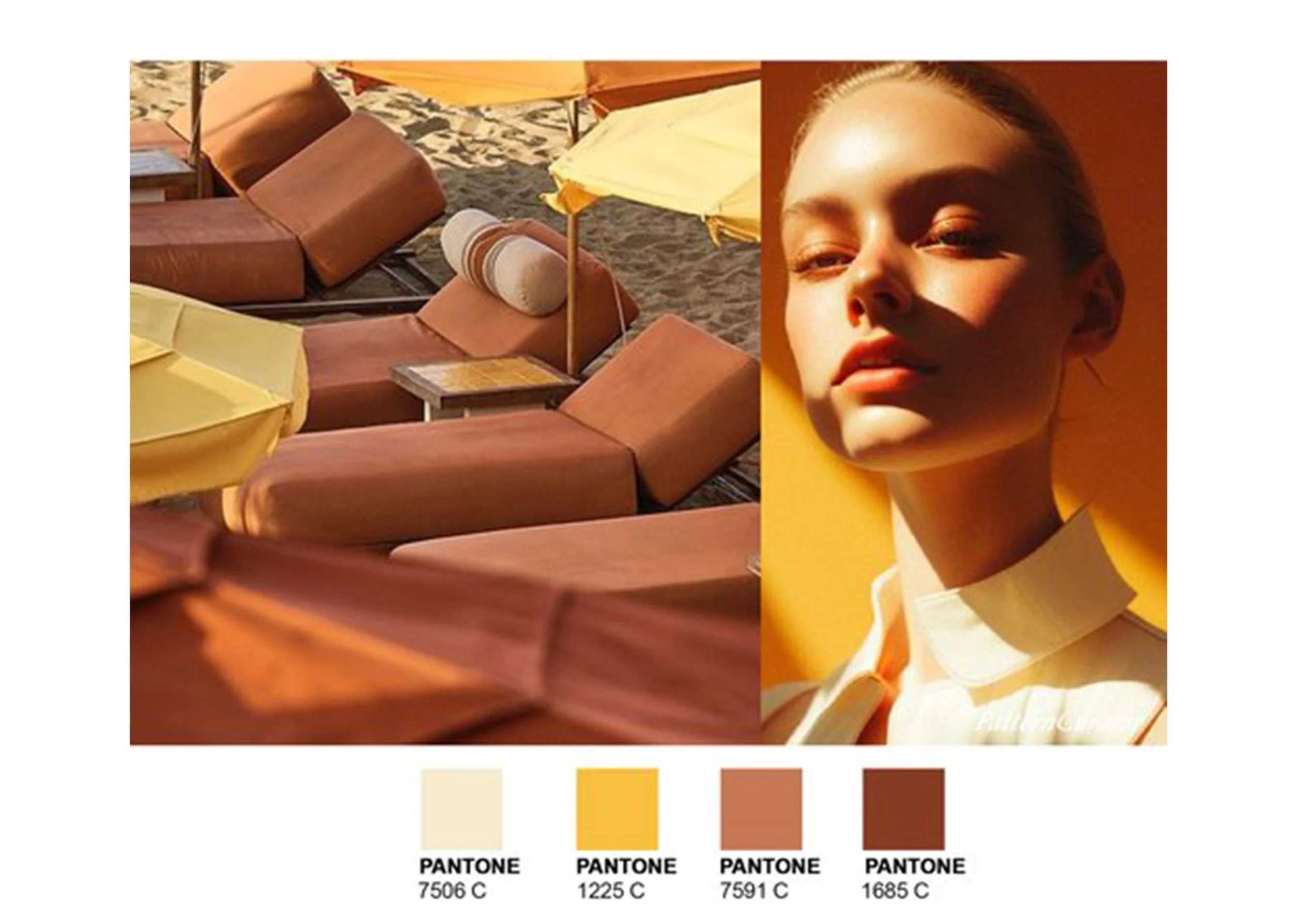 Pattern Curator Trend Service FULL ACCESS