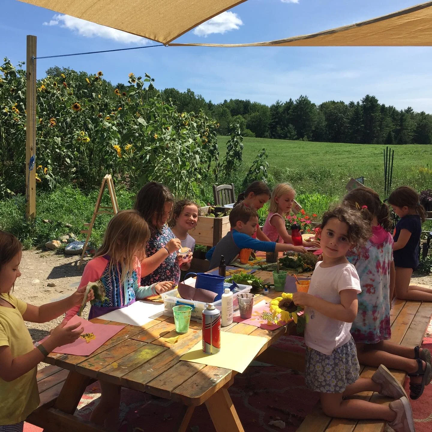 Summer Camp — Farm to Table Kids