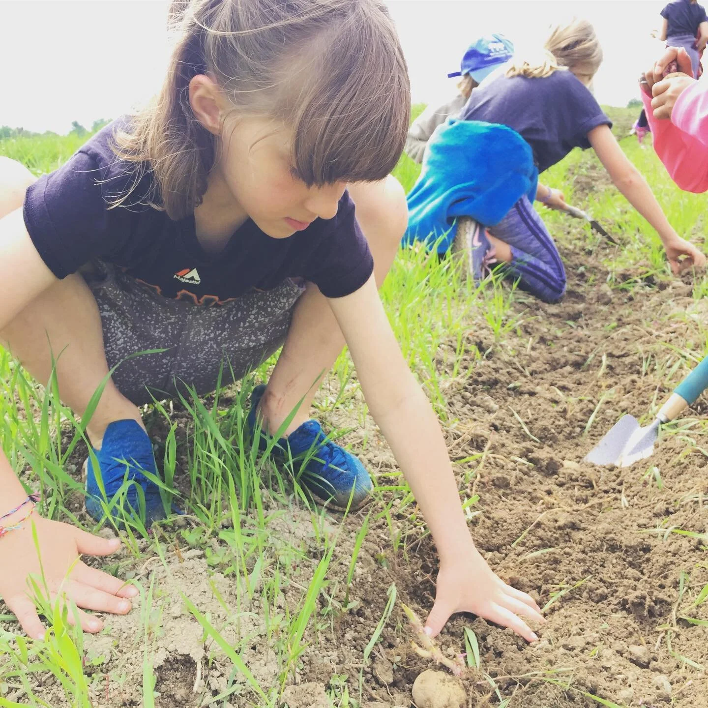 Summer Camp — Farm to Table Kids
