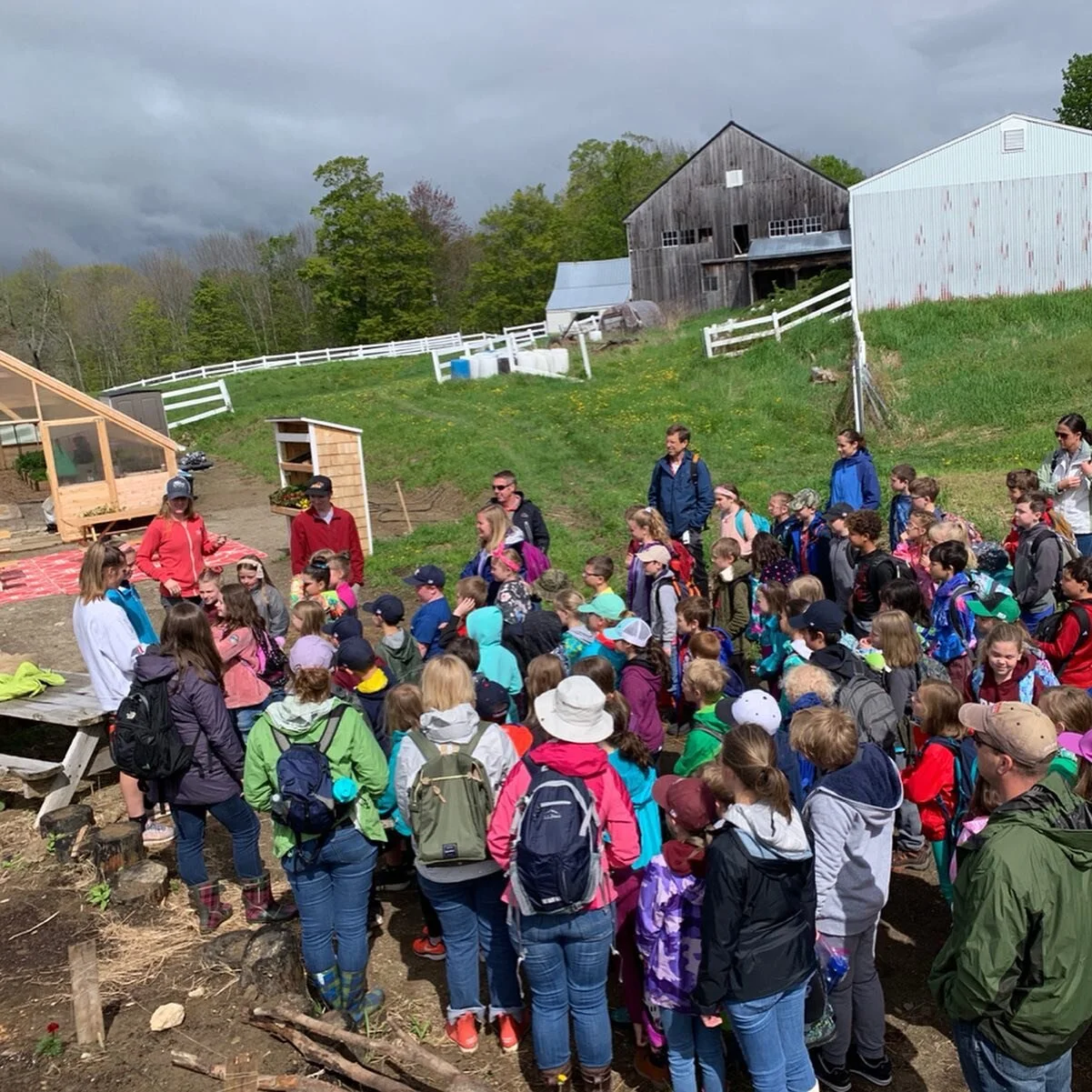 School Field Trips Farm To Table Kids school-field-trips-farm-to-table-kids