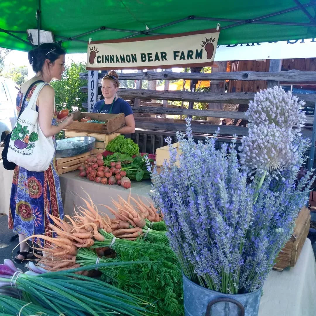 Mendocino County Farmers Market Association