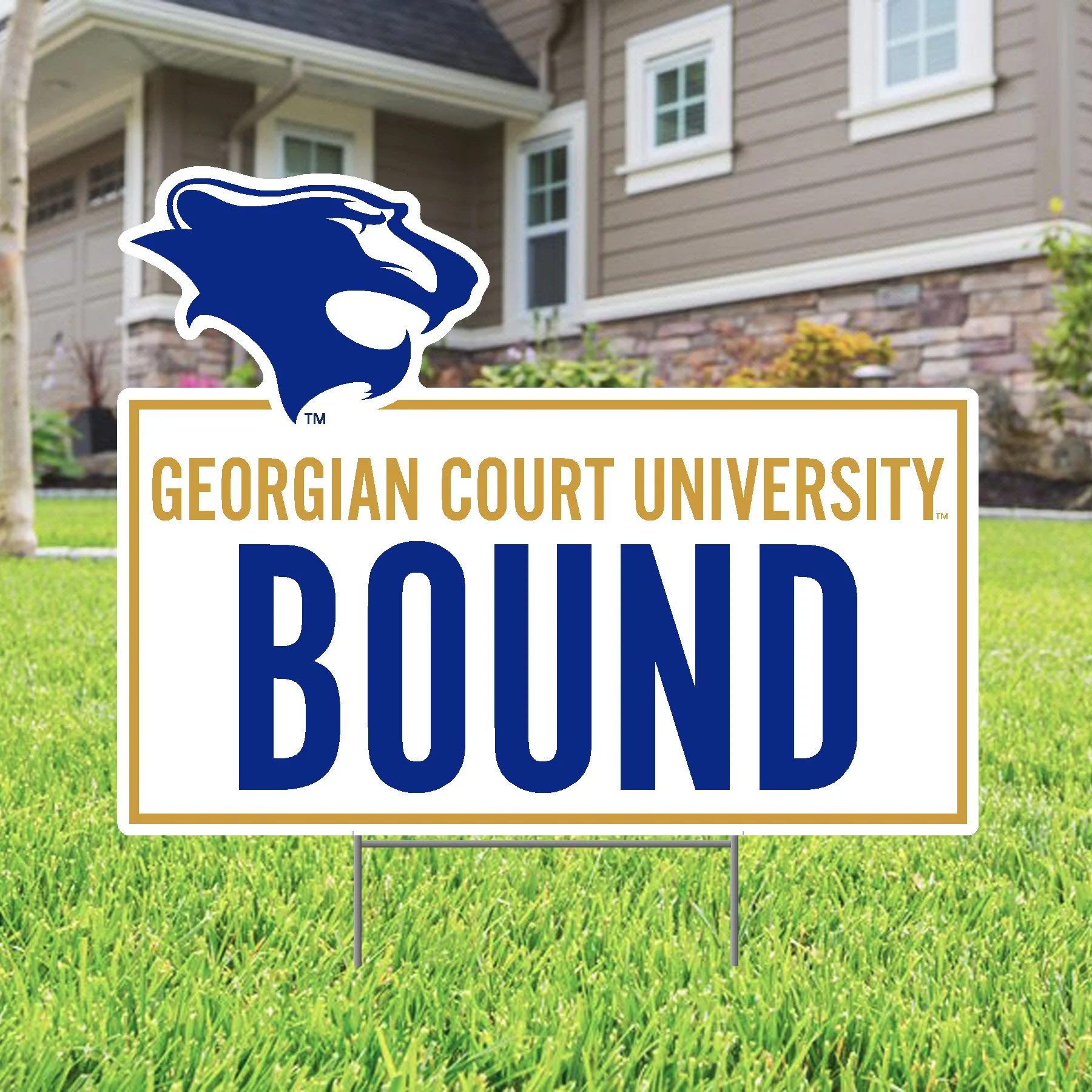 College and Universities — Custom Lawn Sign