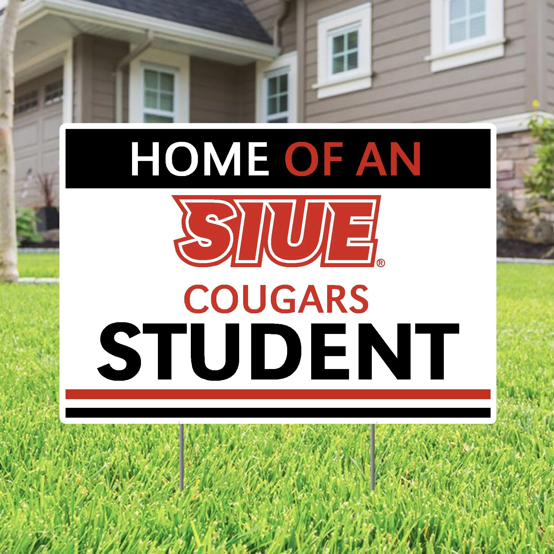 The Cougar Store - Southern Illinois University Edwardsville — Custom ...