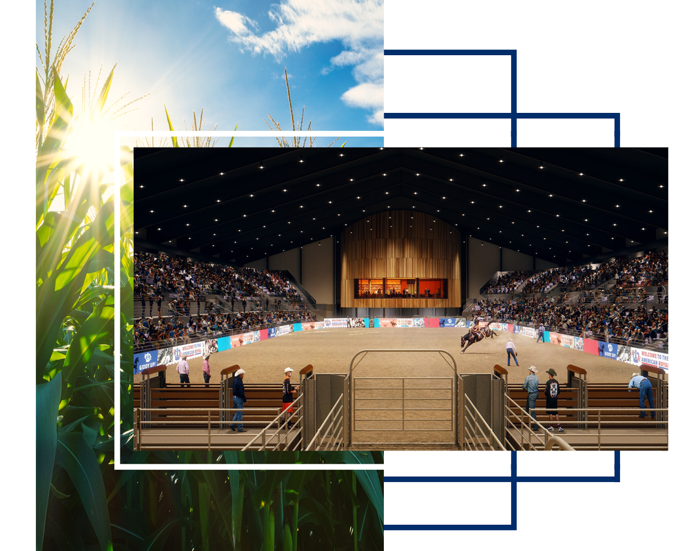 American Royal on the Rise