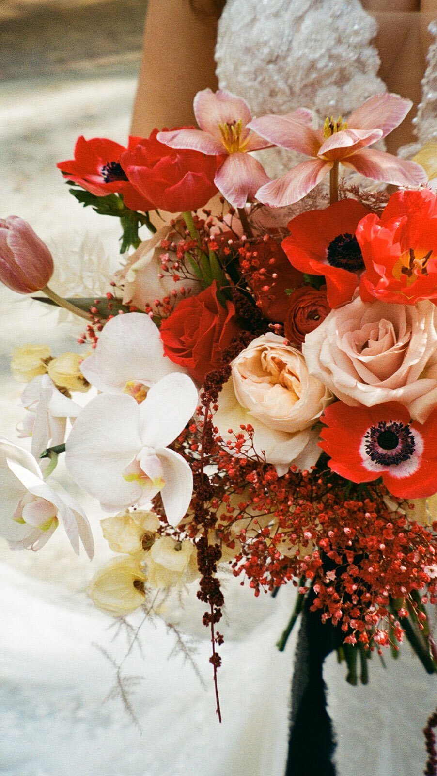 MAE MURPHY PHOTOGRAPHY