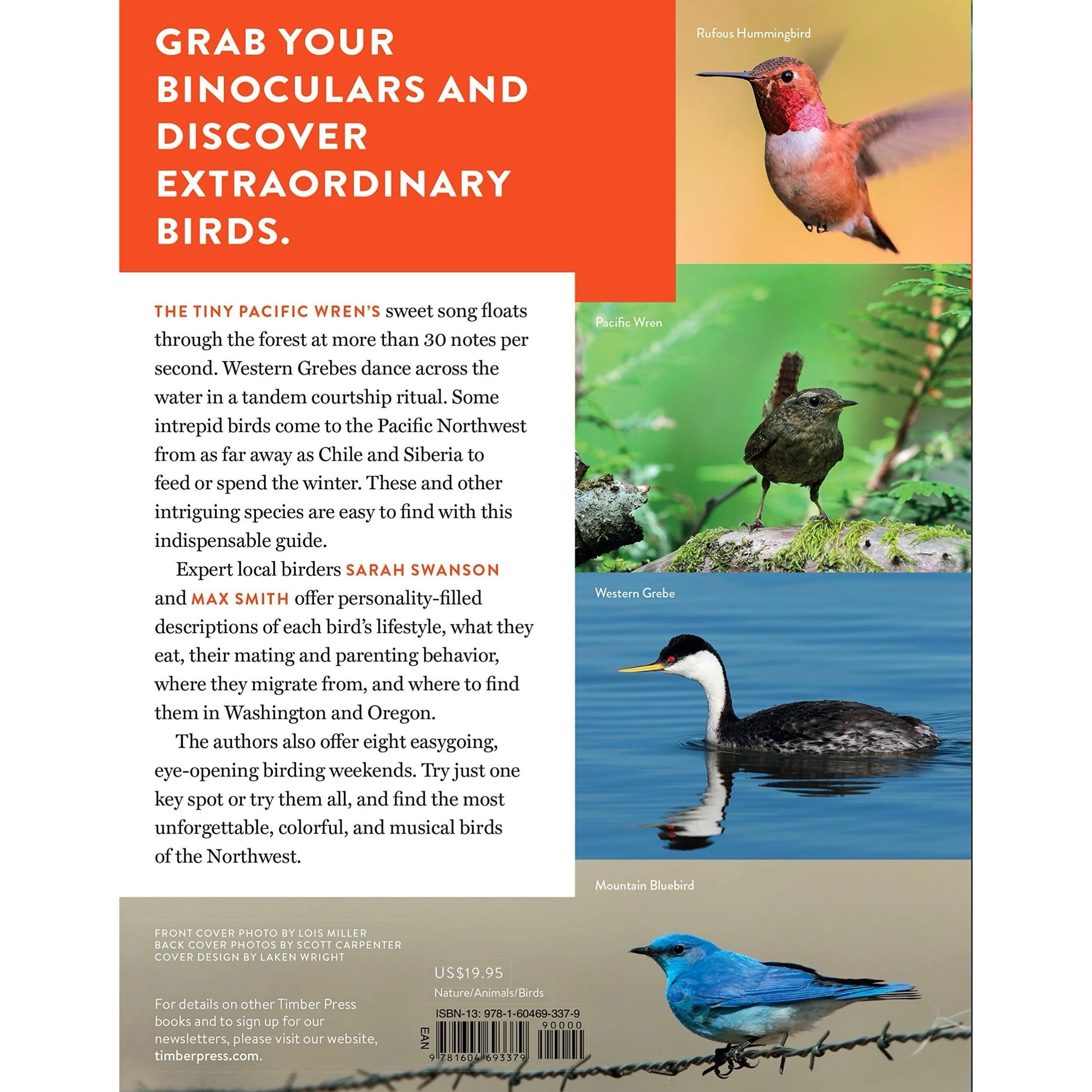 Backyard Birds of Eastern North America Flashcards — Portland Audubon ...