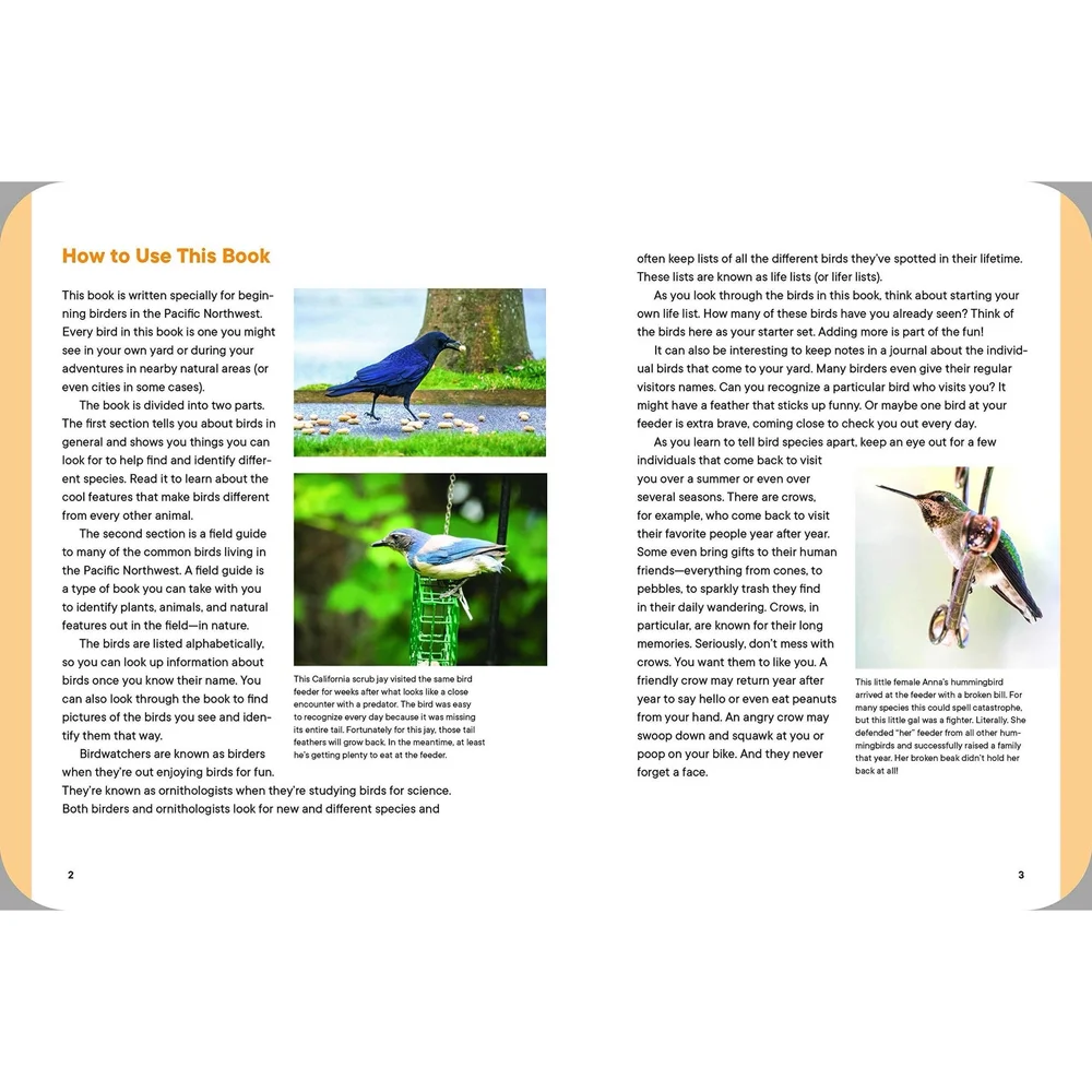 Portland Birds - A Folding Pocket Guide to Familiar Species of Portland ...