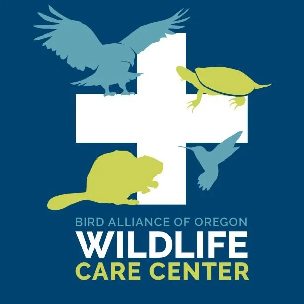 Songbird Spectrum Unisex T-shirt — Portland Audubon Nature Store