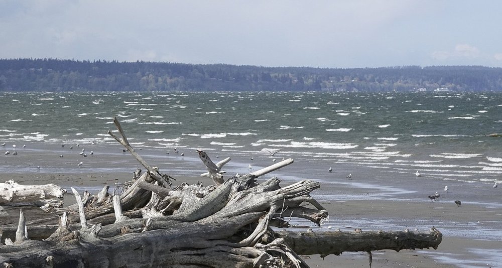 Kayaking Trip Report: Possession Sound, north Puget Sound, WA 9 April ...