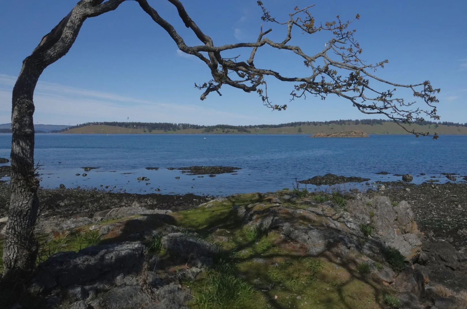 Kayaking Trip Report: Posey Island, San Juan Islands, WA 13–14 Apr 2024 ...