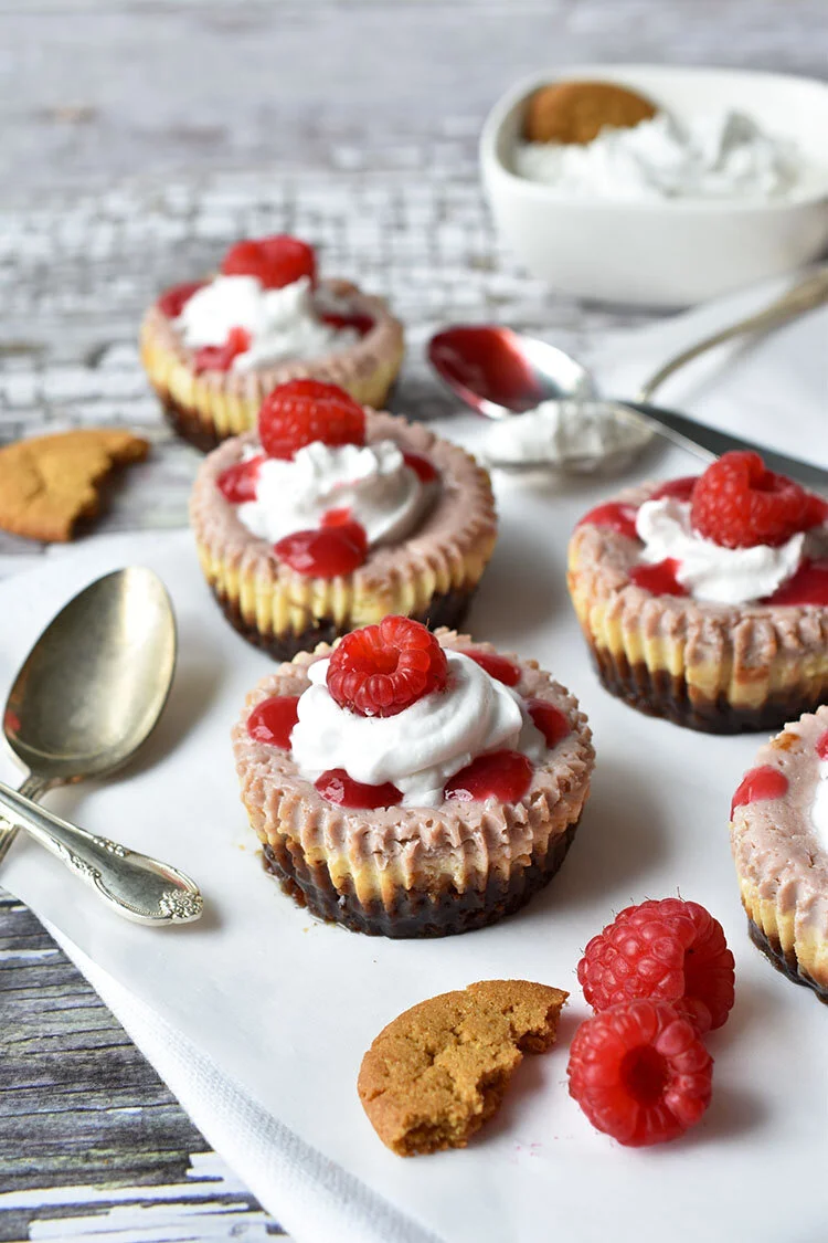 Mini Raspberry Cheesecakes Recipe — REDUCETARIAN FOUNDATION