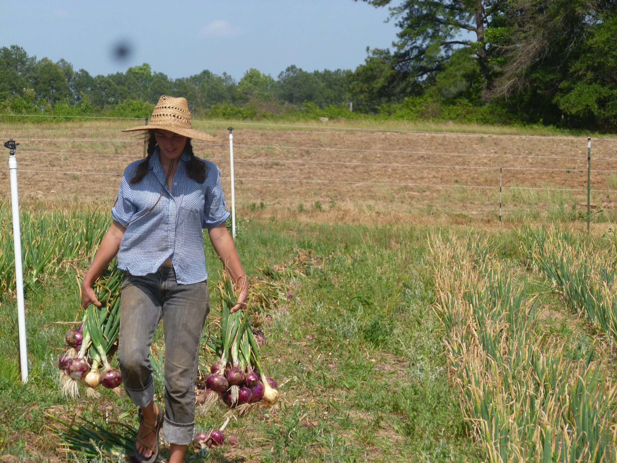 About — Jenny Jack Farm