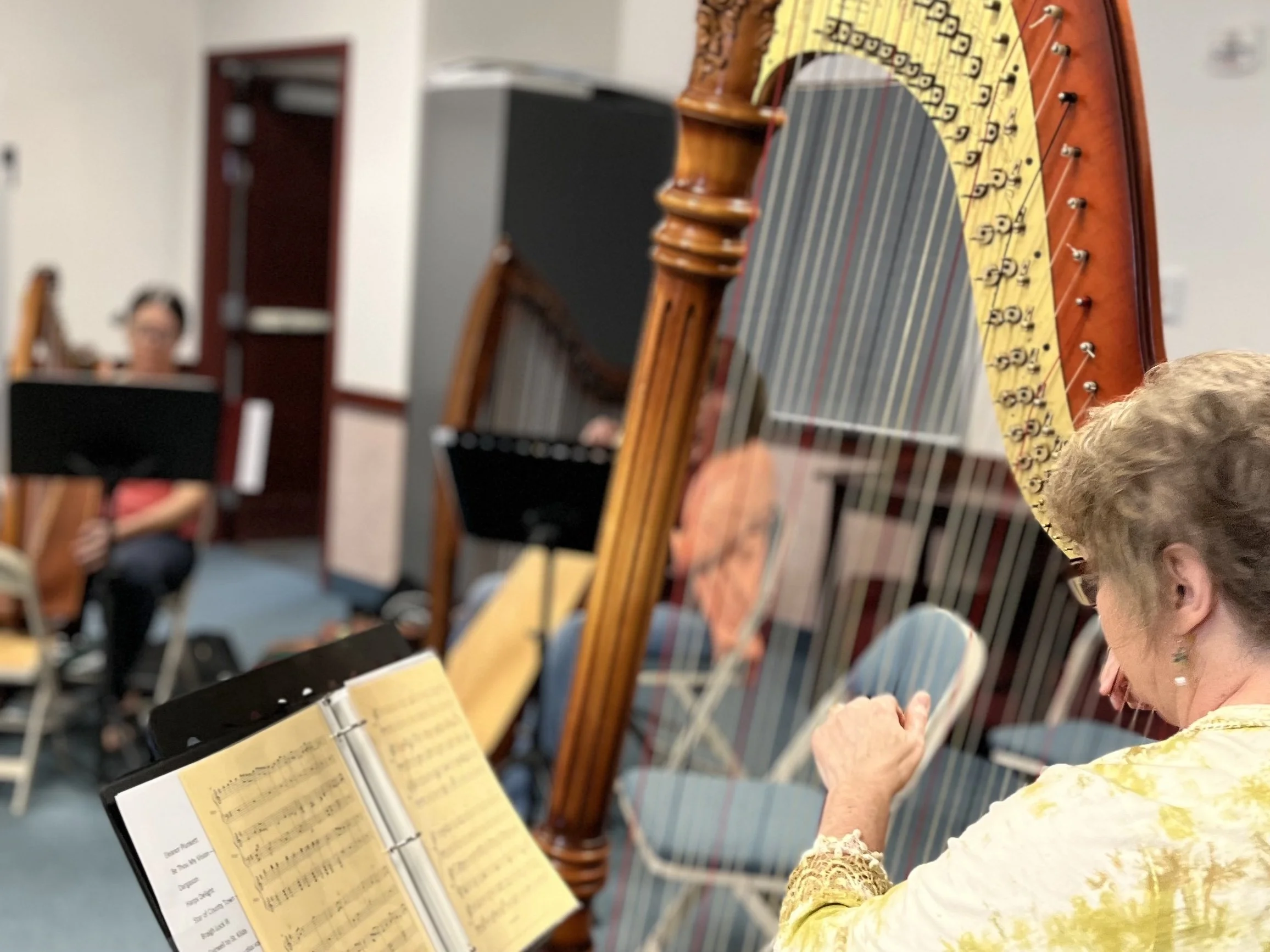 Connie Frank and Harp Choir — Sunburst Arts & Education