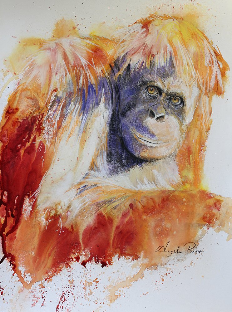 Angela Russo — Peninsula Studio Trail Inc