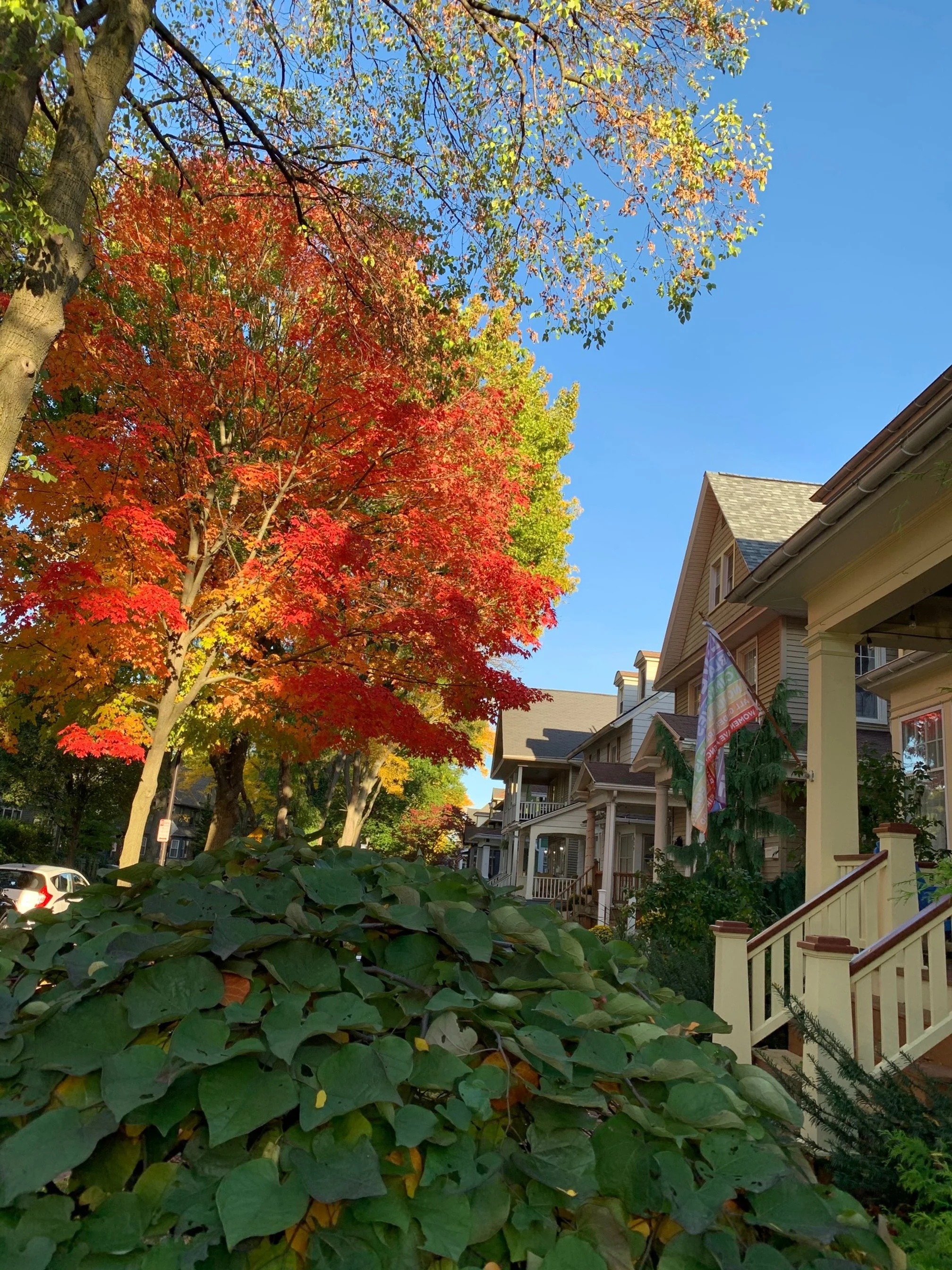 ABC Streets Neighborhood