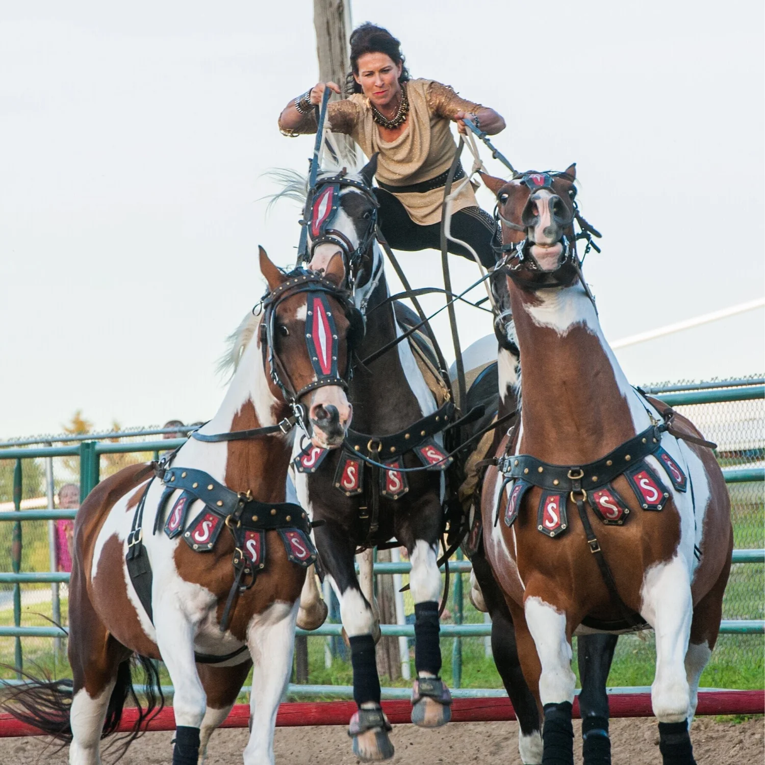 Pincher Creek Pro Rodeo