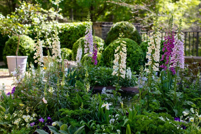 My Garden — Hulsey Garden Design