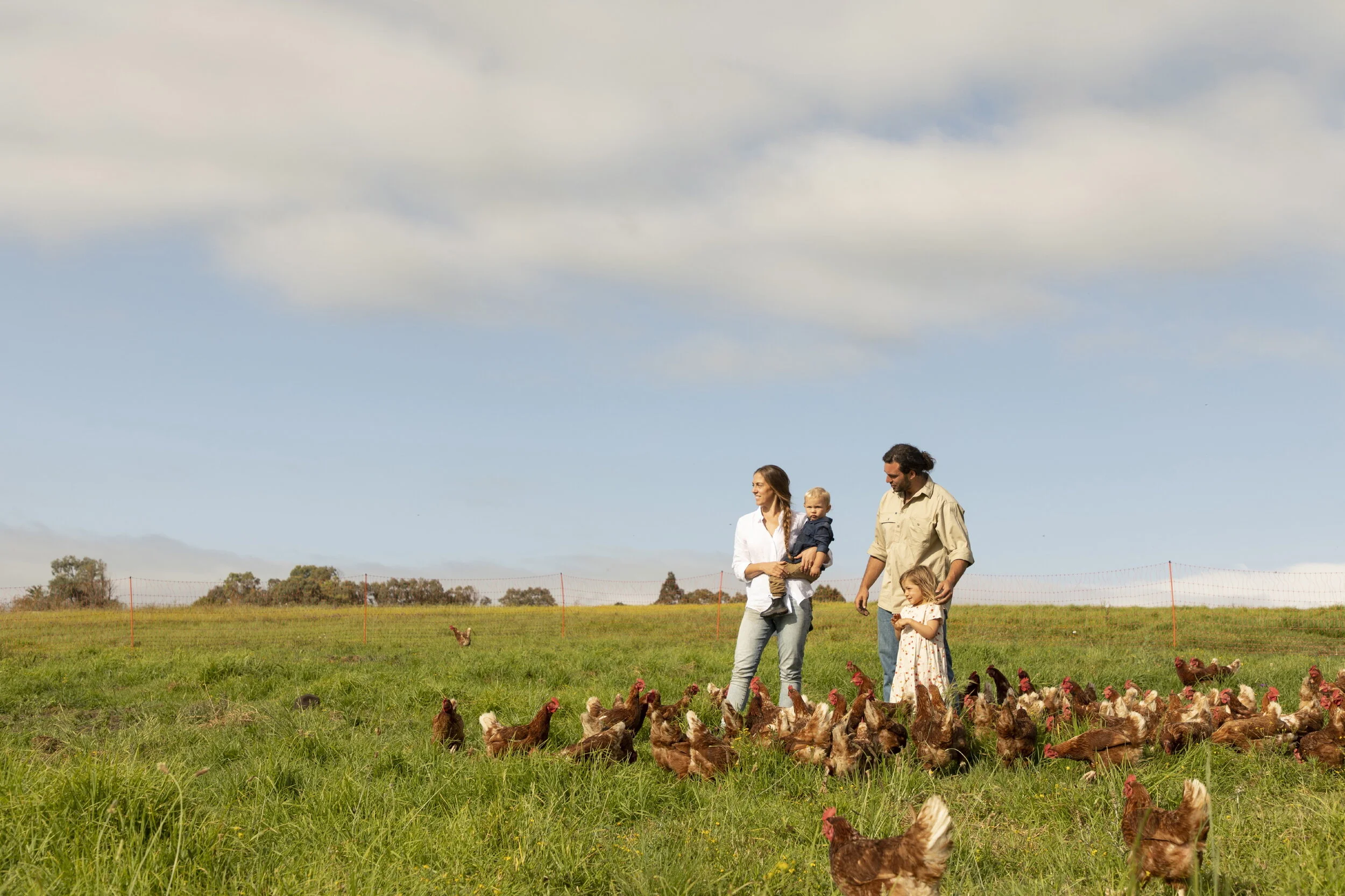 Pastured Eggs | Farm Fresh Chicken Eggs | Bega Valley Eggs