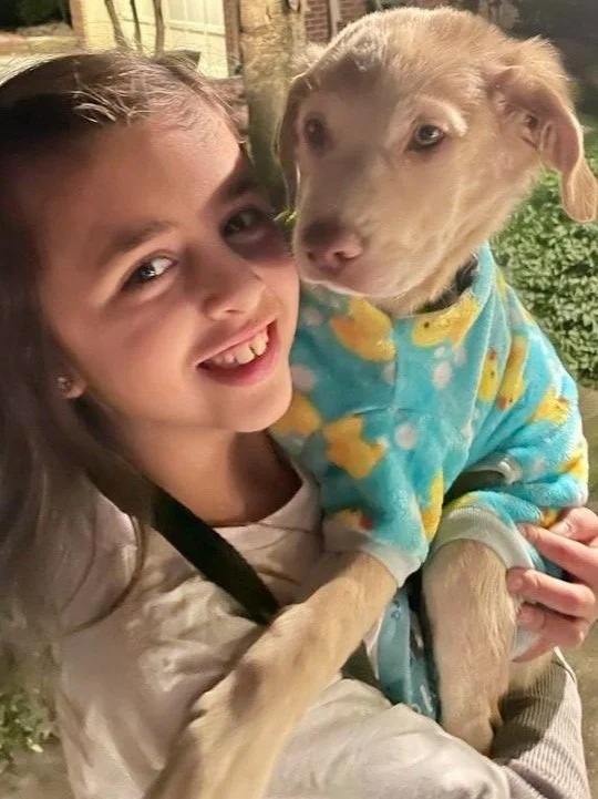 Our Team — Toby's Rescue Finding Homes for Sato Dogs