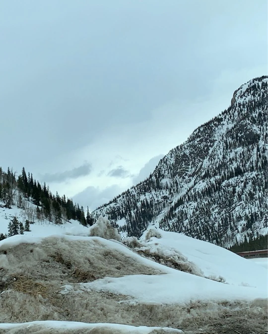 How ABSF Works — The American Blind Skiing Foundation