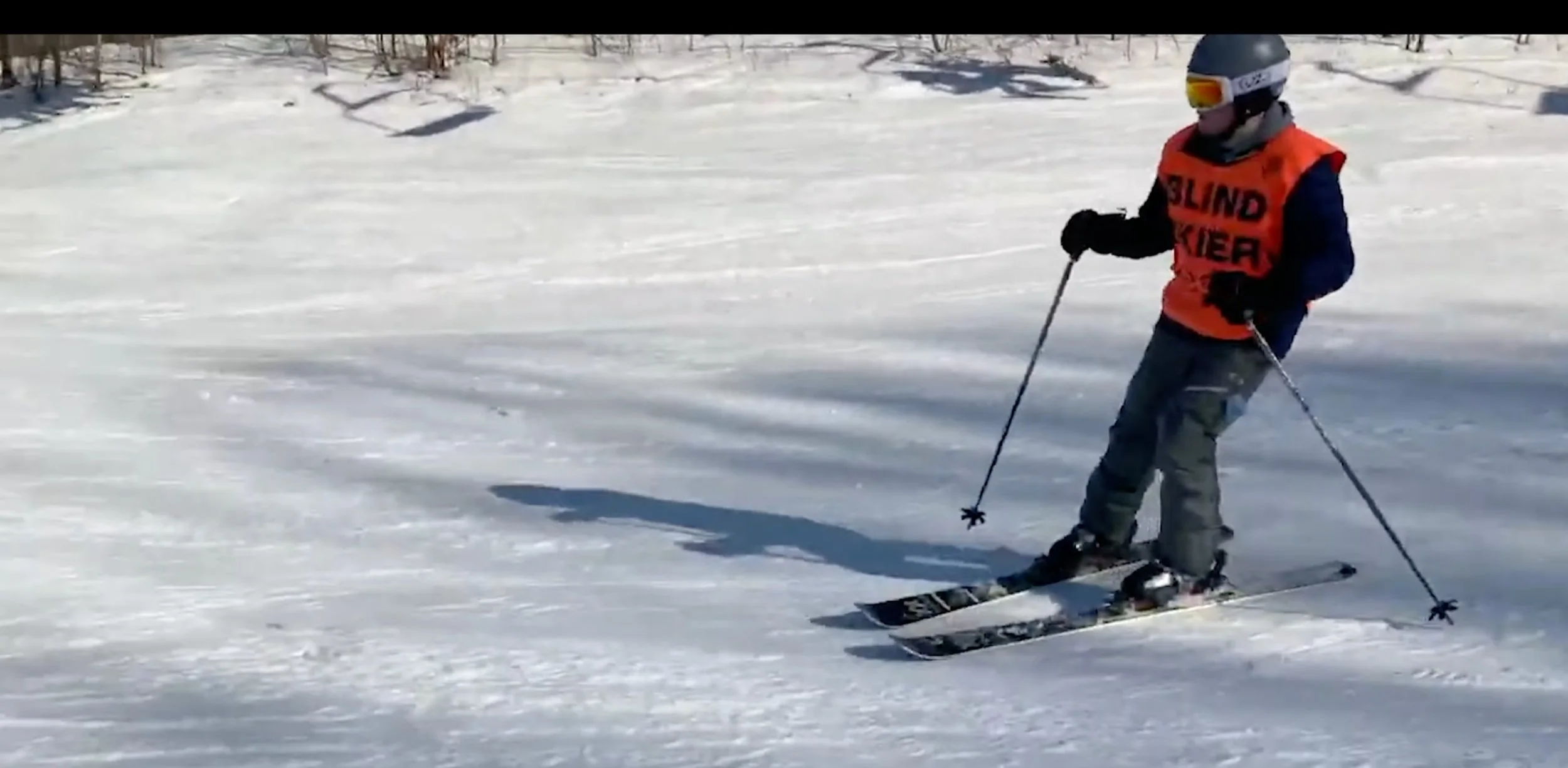 How ABSF Works — The American Blind Skiing Foundation