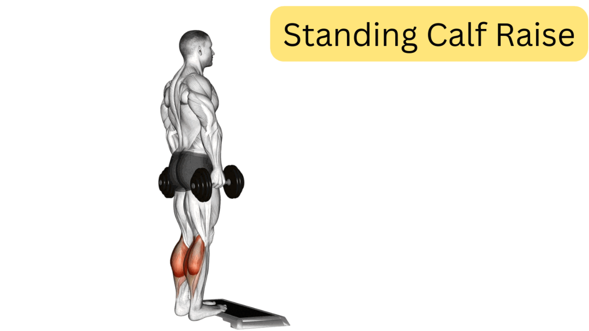 Why Calf Muscles Are So Hard to Build—And How You Can Overcome the ...