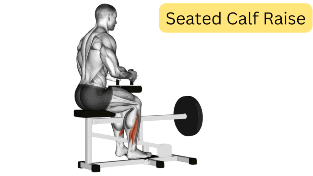 Why Calf Muscles Are So Hard to Build—And How You Can Overcome the ...