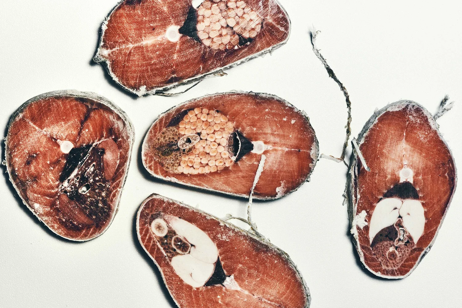 EDITORIAL — K O L S C H