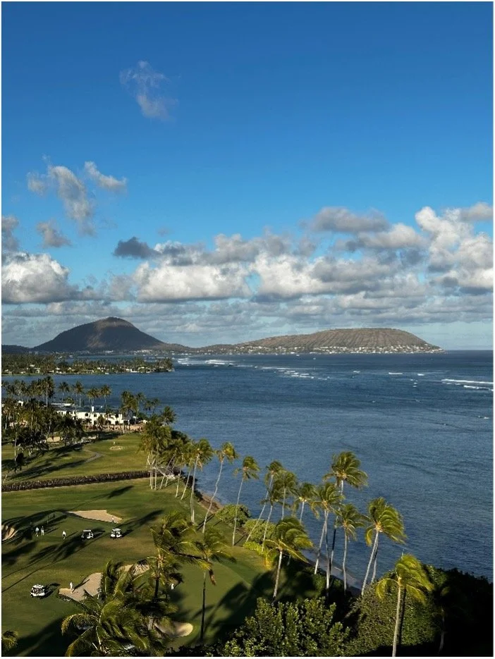 William Hsia — Fengyang TCM