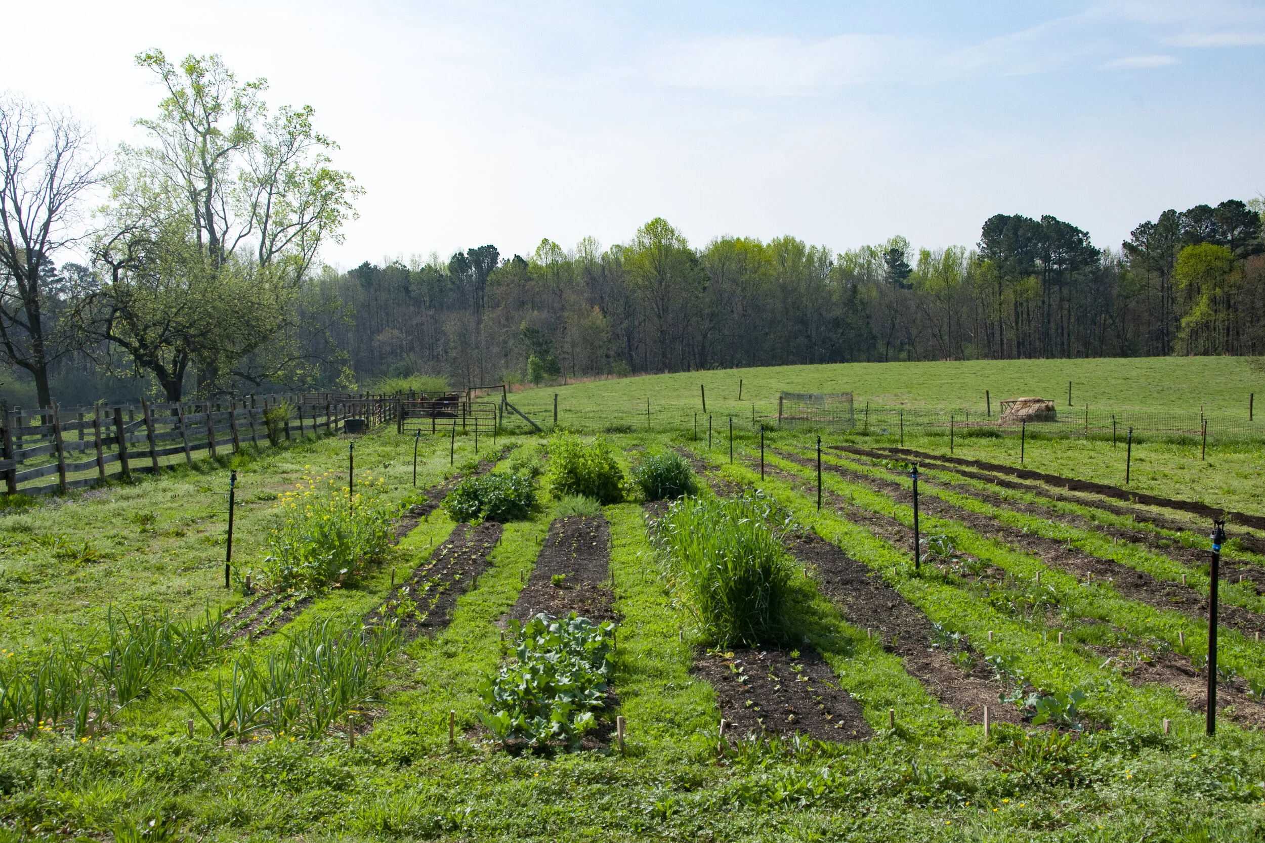Woodcrest Farm & Forge