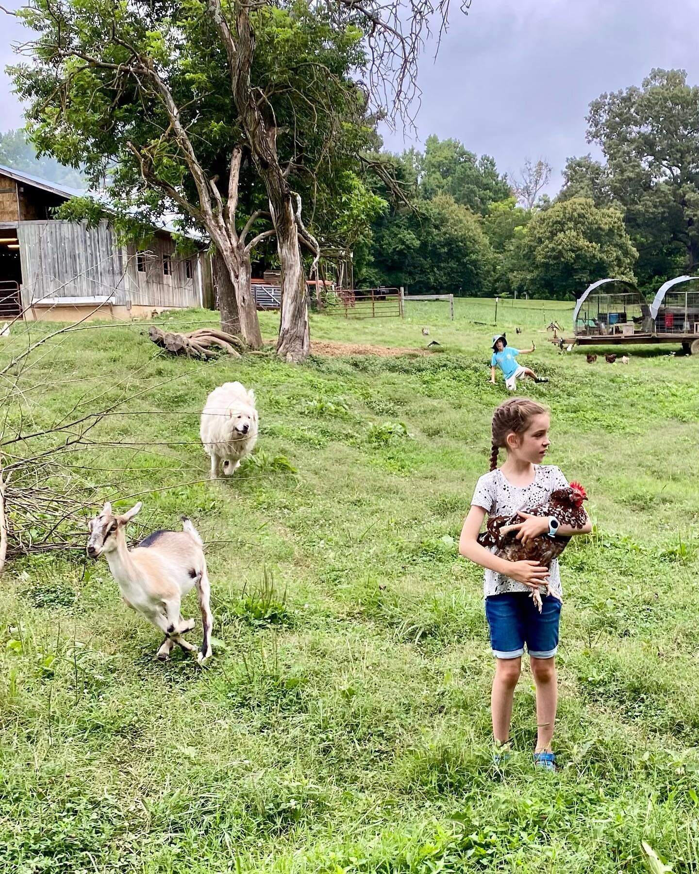 Woodcrest Farm & Forge