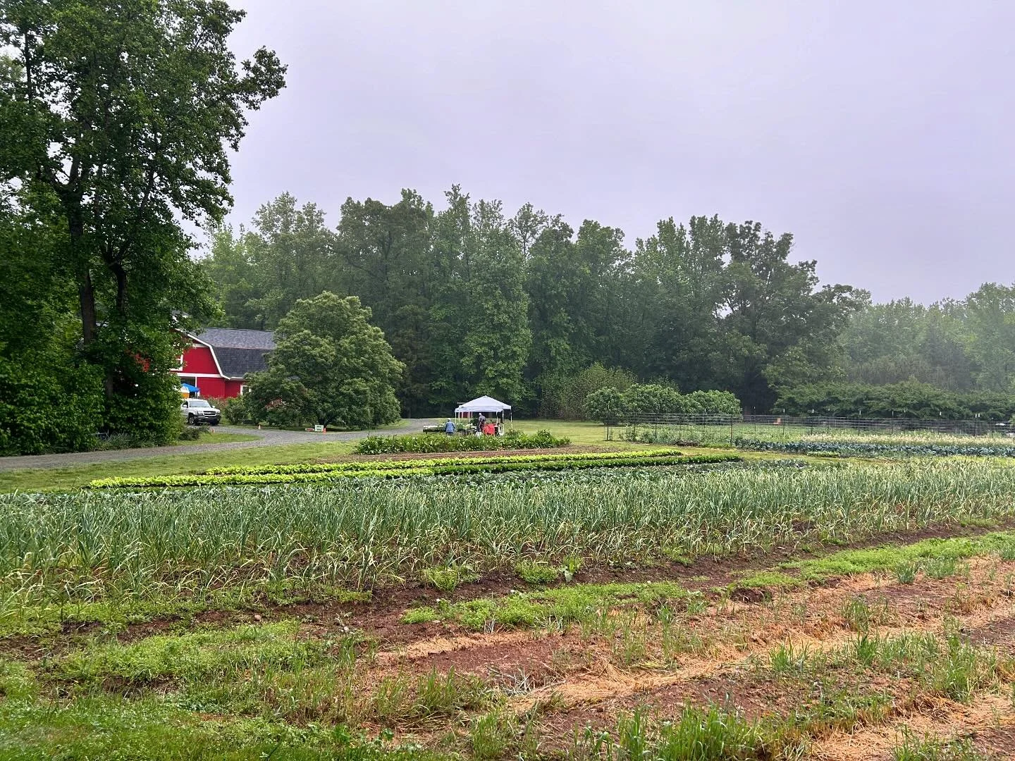 Woodcrest Farm & Forge