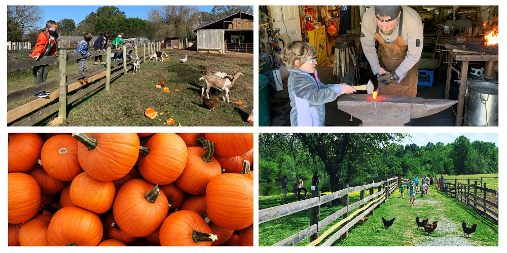 Woodcrest Farm & Forge