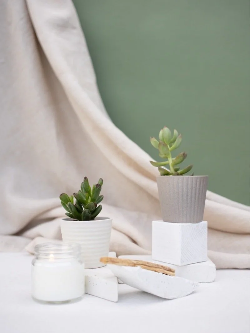 Nicole Mattson Designs | Branding and Web Design