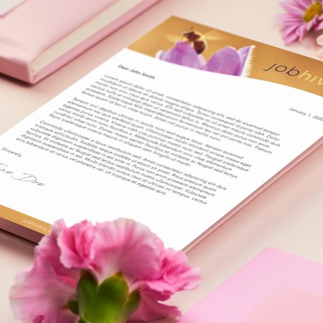 Nicole Mattson Designs | Branding and Web Design